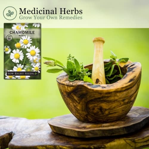 Sow Right Seeds - Roman Chamomile Seeds for Planting - Non-GMO Heirloom Seeds; Instructions to Plant and Grow an Herbal Tea Garden, Indoors or Outdoor; Great Gardening Gift. (4)