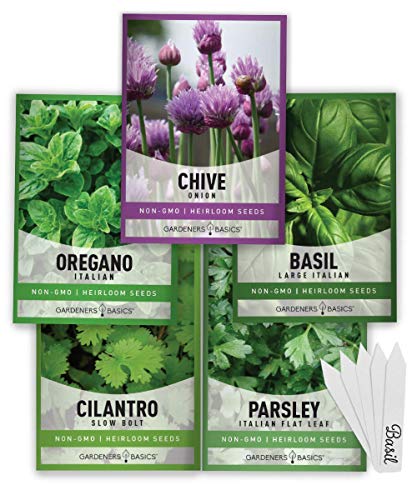 Culinary Herb Seeds For Planting Indoors and Outdoors 5 Herbs Seed Packets Including Basil, Cilantro, Chives, Oregano, and Parsley - Great for Kitchen Herb Garden Heirloom Herb Seeds - Gardners Basics