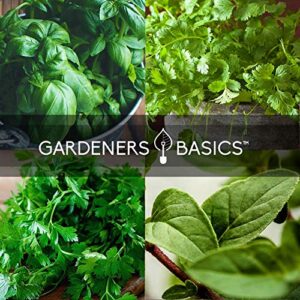 Culinary Herb Seeds For Planting Indoors and Outdoors 5 Herbs Seed Packets Including Basil, Cilantro, Chives, Oregano, and Parsley - Great for Kitchen Herb Garden Heirloom Herb Seeds - Gardners Basics