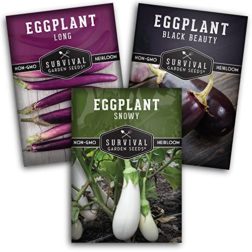 Survival Garden Seeds Eggplant Collection Seed Vault - Long Purple Italian Eggplant and Black Beauty Bell Shaped Eggplant for Your Homestead or Vegetable Garden - Non-GMO Heirloom Seeds for Planting