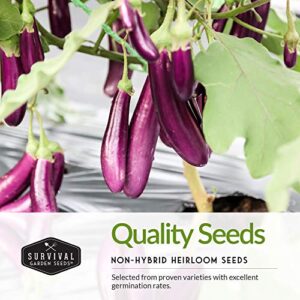 Survival Garden Seeds Eggplant Collection Seed Vault - Long Purple Italian Eggplant and Black Beauty Bell Shaped Eggplant for Your Homestead or Vegetable Garden - Non-GMO Heirloom Seeds for Planting