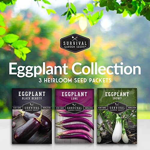 Survival Garden Seeds Eggplant Collection Seed Vault - Long Purple Italian Eggplant and Black Beauty Bell Shaped Eggplant for Your Homestead or Vegetable Garden - Non-GMO Heirloom Seeds for Planting