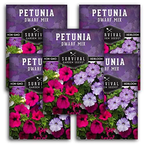 Survival Garden Seeds - Dwarf Petunia Seed Mix for Planting - 5 Packs with Instructions to Plant and Grow Colorful Flowers to Attract Pollinators to Your Home Garden - Non-GMO Heirloom Variety