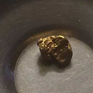 Unsearched Gold Paydirt for Panning from Alaska Gold Guaranteed