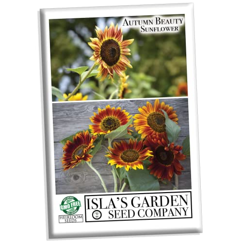 "Autumn Beauty" Sunflower Seeds for Planting, 150+ Flower Seeds Per Packet, (Isla's Garden Seeds), Non GMO Seeds, Scientific Name: Helianthus annus, Great Home Garden Gift