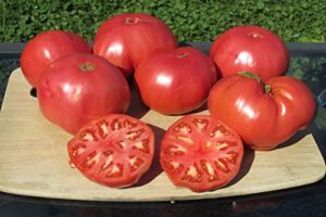 ohio heirloom seeds beefsteak tomato seeds 75+ heirloom variety