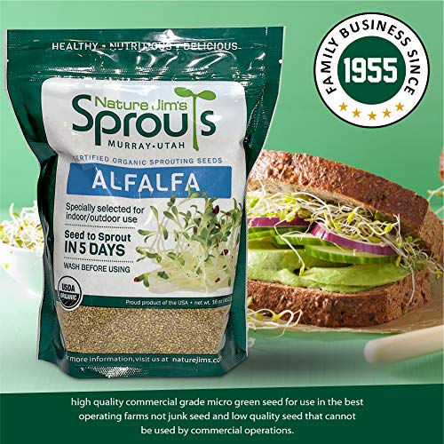 Nature Jims Sprouts Wheatgrass Seeds - 100% Organic Wheat Grass Seed for Sprouting - Cat Grass Planter Seeds, Rich in Vitamins, Fiber and Minerals - Non-GMO, Healthy Wheatgrass Sprout Growing Seed