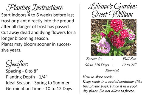 Flower Seeds - Sweet William Seeds- Mixed Colors - Dianthus barbatus - Biennial - Liliana's Garden