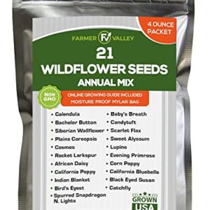 Annual Wildflower Seeds Mix to Attract Pollinators, Butterflies, and Birds - 100,000+ Heirloom and Non GMO Flower Garden Seeds in Bulk 4oz Packet - 21 Varieties for Indoor and Outdoor Planting