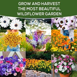 Annual Wildflower Seeds Mix to Attract Pollinators, Butterflies, and Birds - 100,000+ Heirloom and Non GMO Flower Garden Seeds in Bulk 4oz Packet - 21 Varieties for Indoor and Outdoor Planting