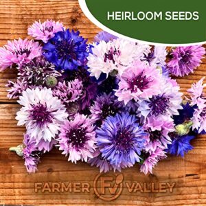 Annual Wildflower Seeds Mix to Attract Pollinators, Butterflies, and Birds - 100,000+ Heirloom and Non GMO Flower Garden Seeds in Bulk 4oz Packet - 21 Varieties for Indoor and Outdoor Planting