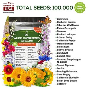 Annual Wildflower Seeds Mix to Attract Pollinators, Butterflies, and Birds - 100,000+ Heirloom and Non GMO Flower Garden Seeds in Bulk 4oz Packet - 21 Varieties for Indoor and Outdoor Planting