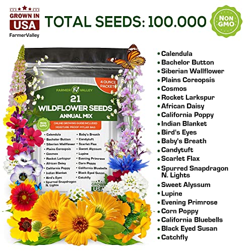 Annual Wildflower Seeds Mix to Attract Pollinators, Butterflies, and Birds - 100,000+ Heirloom and Non GMO Flower Garden Seeds in Bulk 4oz Packet - 21 Varieties for Indoor and Outdoor Planting