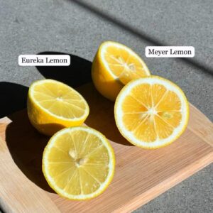 CHUXAY GARDEN 10 Seeds Citrus Limon 'Meyer',Dwarf Lemon,Valley Lemon,Meyers Lemon Hybridize Sweet Fruit Gardening Gifts Non-GMO Green Organic Low-Maintenance