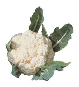 burpee snowball self-blanching cauliflower seeds 100 seeds