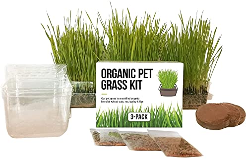 The Cat Ladies Cat Grass Growing Kit -Organic Seed, Soil and BPA Free containers (Non GMO).Locally sourced Seeds! (3 Pack)