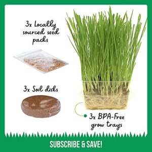 The Cat Ladies Cat Grass Growing Kit -Organic Seed, Soil and BPA Free containers (Non GMO).Locally sourced Seeds! (3 Pack)