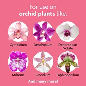 Miracle-Gro Ready-To-Use Orchid Plant Food Mist, 8 oz., Orchid Food Feeds Plants Instantly, 1 Pack