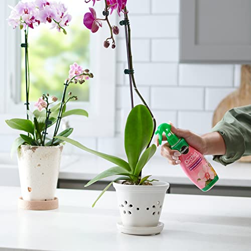 Miracle-Gro Ready-To-Use Orchid Plant Food Mist, 8 oz., Orchid Food Feeds Plants Instantly, 1 Pack