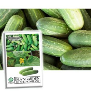 carolina cucumber seeds for planting, 100+ heirloom seeds per packet, (isla’s garden seeds), non gmo seeds, botanical name: cucumis sativus, great home garden gift