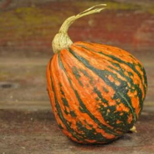 CHUXAY GARDEN Lakota Squash Seed 40 Seeds Delicious Winter Squash Beautiful Vegetable Popular for Baking Easy Grow