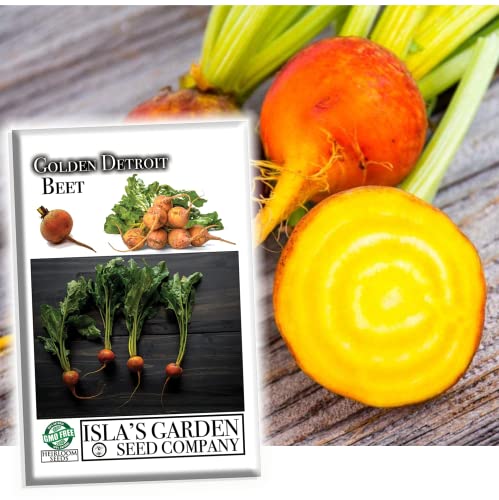 Golden Detroit Beet Seeds for Planting, 100+ Heirloom Seeds Per Packet, (Isla's Garden Seeds), Non GMO Seeds, Botanical Name: Beta vulgaris, Great Home Garden Gift