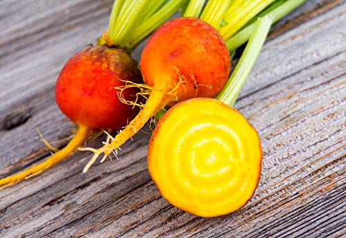 Golden Detroit Beet Seeds for Planting, 100+ Heirloom Seeds Per Packet, (Isla's Garden Seeds), Non GMO Seeds, Botanical Name: Beta vulgaris, Great Home Garden Gift