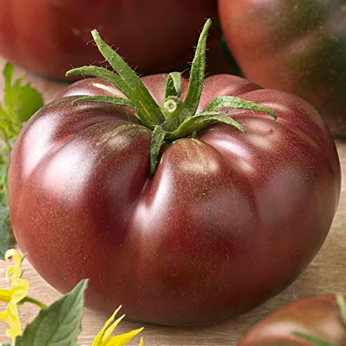 Chef's Choice Black F1 Hybrid AAS Tomato Seeds - 300 Mg Packet ~70 Seeds - Non-GMO, F1 Hybrid - Vegetable Garden - Lycopersicon esculentum