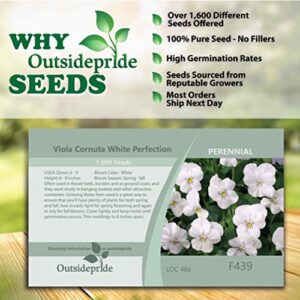 Outsidepride Viola White Perfection Garden Flowers for Containers, Hanging Baskets, & Window Boxes - 1000 Seeds