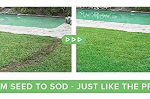 Hydro Mousse Liquid Lawn System - Grow Grass Where You Spray It - Made in USA