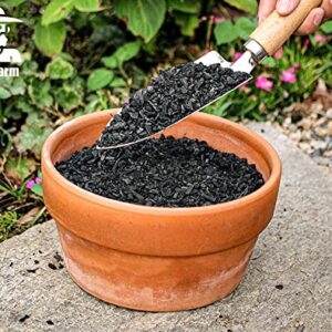 O-FarFarm Horticultural Charcoal for Potted Plants 1 QT, Hardwood Charcoal for Potting Soil Amendment, Orchids, Terrariums, and Gardening