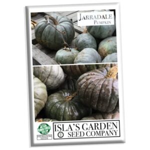 jarradale pumpkin seeds for planting, pale green color, (jarrahdale) 10 heirloom seeds, (isla’s garden seeds), non gmo seeds, botanical name: cucurbita maxima, great home garden gift