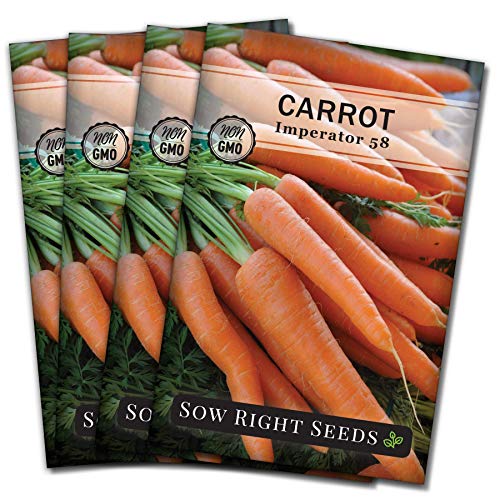 Sow Right Seeds - Imperator Carrot Seed for Planting - Non-GMO Heirloom Packet with Instructions to Plant a Home Vegetable Garden, Great Gardening Gift (4)