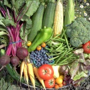 Premium Winter Vegetable Seeds for Planting Organic Non-GMO Heirloom Seeds 12 Varieties: Radish, Pea, Broccoli, Beet, Carrot, Cauliflower, Green Bean, Kale, Arugula, Cabbage, Asparagus, Brussel Sprout