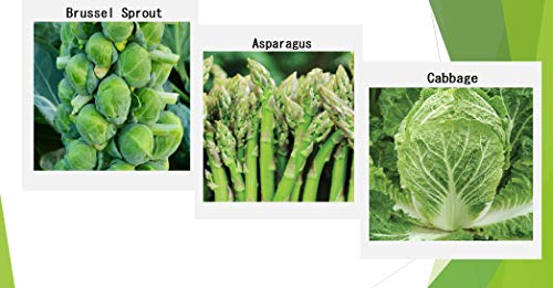 Premium Winter Vegetable Seeds for Planting Organic Non-GMO Heirloom Seeds 12 Varieties: Radish, Pea, Broccoli, Beet, Carrot, Cauliflower, Green Bean, Kale, Arugula, Cabbage, Asparagus, Brussel Sprout