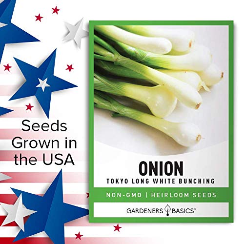 Green Onion Seeds for Planting - Tokyo Long White Bunching is A Great Heirloom, Non-GMO Vegetable Variety- 200 Seeds Great for Outdoor Spring, Winter and Fall Gardening by Gardeners Basics