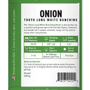 Green Onion Seeds for Planting - Tokyo Long White Bunching is A Great Heirloom, Non-GMO Vegetable Variety- 200 Seeds Great for Outdoor Spring, Winter and Fall Gardening by Gardeners Basics