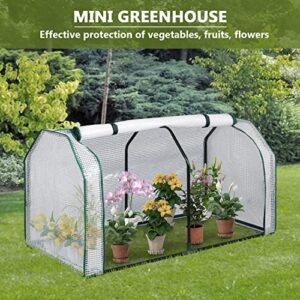 LYNSLIM 2pcs Mini Greenhouse, 48" x24x 21.6",PE Cover,Large Zipper Doors,Indoor Outdoor Garden Green House Flowerpot Cover