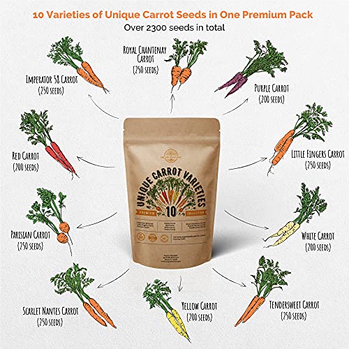 10 Carrot Seeds Variety for Planting in Home Garden Indoor & Outdoors. Plant Non GMO Heirloom Carrots Garden Seeds Rare Cosmic, Rainbow, Purple Carrot Seed Packets in Bulk Vegetable Seeds Variety Pack