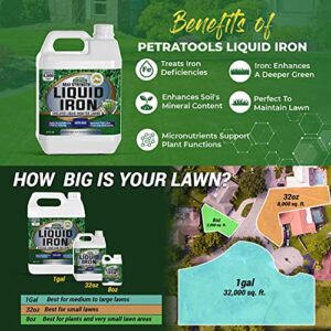 PetraTools Liquid Iron for Lawns (32oz) Liquid 16-4-8 Lawn (32oz)