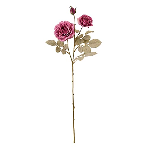 Tokyodo FM006532-012 MAGIQ Blanche Garden Rose, Orchid, Flower Diameter 2.8 - 3.9 x L 24.4 inches (7 - 10 x 62 cm), Pack of 1