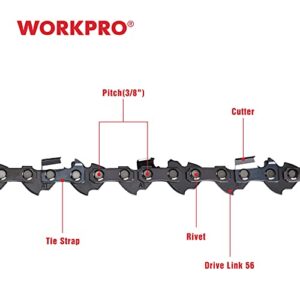 WORKPRO 2-Pack Chainsaw Chain for 16-Inch Bar, 3/8"Pitch, 56 Drive Links Wood Cutting Saw Chain for Chainsaw Parts fits Craftsman, Poulan, Echo, DeWalt