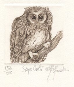 scops owl ii