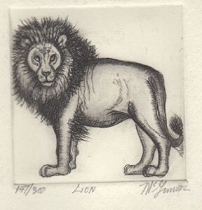 lion