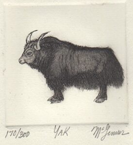 yak