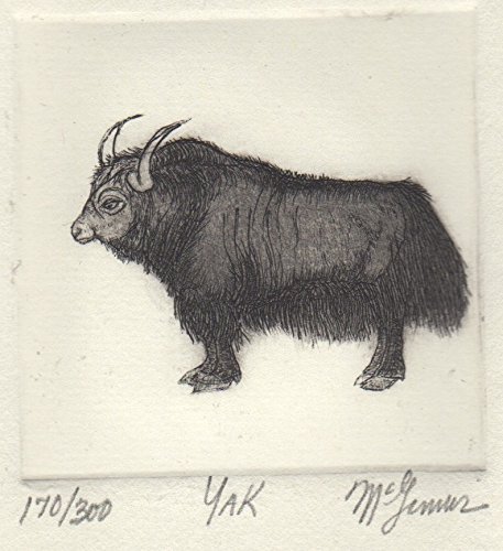 Yak