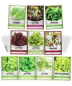 salad greens lettuce seeds heirloom vegetable seed 23,000 seeds for planting indoors and outdoor 10 packs – buttercrunch, romaine, iceberg, (and more) leaf and head variety pack by gardeners basics