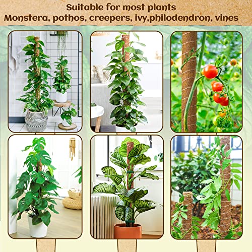 90 Inch Moss Pole for Plants Monstera, 6 Pcs Plant Pole for Climbing Plants - 16.5" and 20.5" Coir Totem Pole Monstera Stake, Moss Sticks for Indoor Plants Support Creepers Extension, with Garden Ties