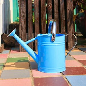 Joequality Watering Can for Outdoor&Indoor Plants，Galvanized Steel Watering Can with Stainless Steel Handles，1 Gallon Metal Plant Watering Pot Gardening Tools，Blue