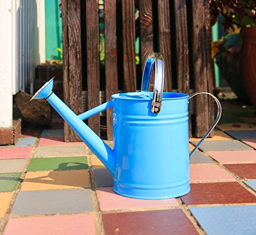 Joequality Watering Can for Outdoor&Indoor Plants，Galvanized Steel Watering Can with Stainless Steel Handles，1 Gallon Metal Plant Watering Pot Gardening Tools，Blue